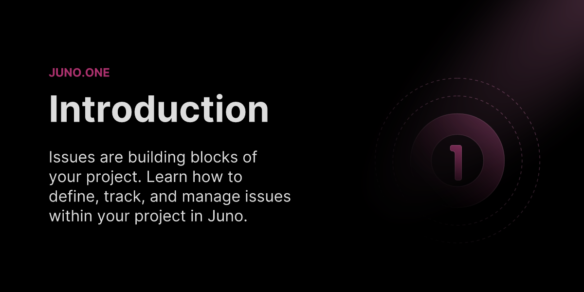 Introduction | Juno.one