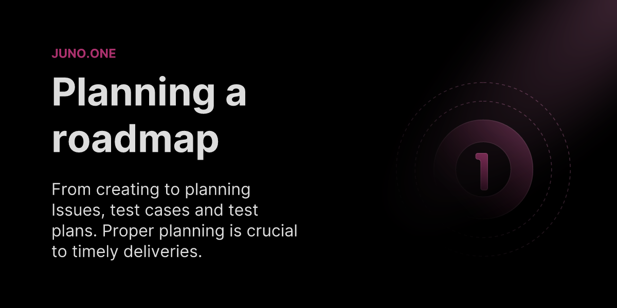 Planning a roadmap | Juno.one